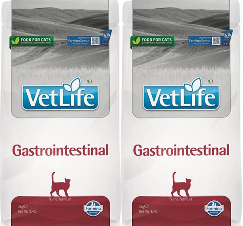 FARMINA Vet life gastro-intestinal cat 2 x 2 kg | Fera.lt