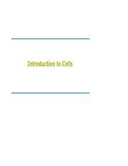 Introduction To Cells Exploring The Basic Structure Functions Course Hero