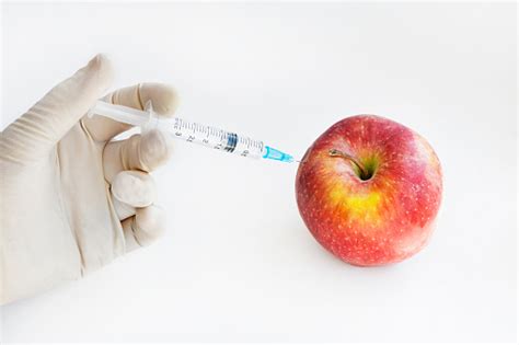 붉은 사과에 주입 붉은 화학 물질유전자 변형 과일과 주사기 Gmo 식품 실험실 연구 및 과일 선택 유전자 변형 제품 개념 Dna에 대한 스톡 사진 및 기타 이미지 Istock