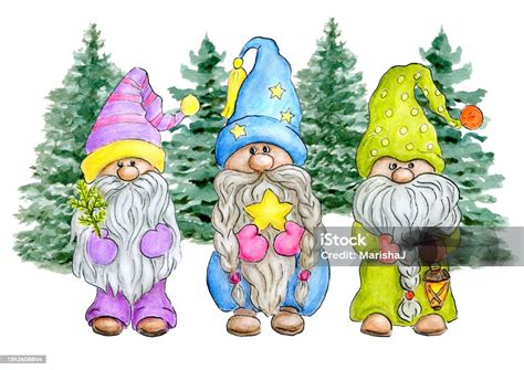 가문비 나무 별과 손전등 크리스마스 숲에서 세 개의 노움 재미있는 모자에 작은 노움 3 명에 대한 스톡 벡터 아트 및 기타 이미지 3 명 가공의 인물 가문비나무