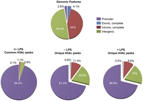 Graph A Shows A Summary Of The Expected Distribution Of Genomic