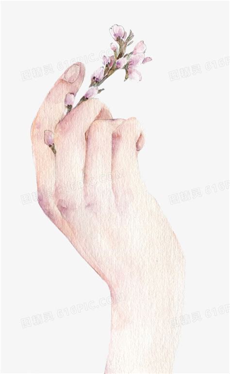 插画纤细的手图片免费下载png素材编号vd9i2p45z图精灵