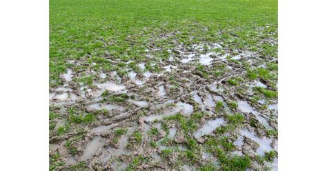 Crowdfunder For Pitch Improvements