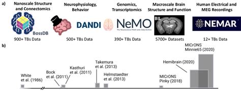 Survey Of Large Emerging Datasets From The Us Brain Initiative Panel Download Scientific