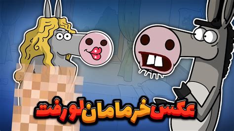 عکس های خانوادگی کره خر Youtube