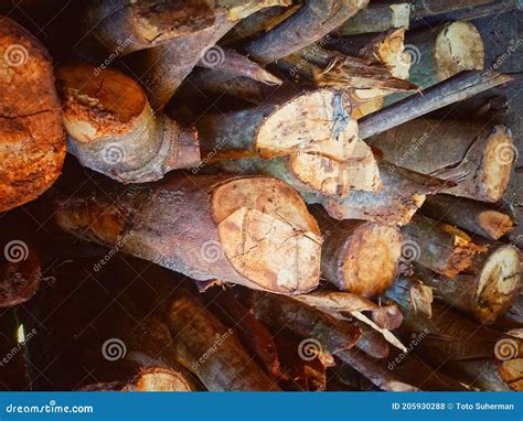 Dry Logs That Undergo A Drying Process Stock Photo Image Of Meat Food