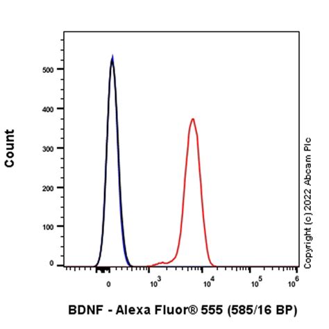 anti bdnf alexa fluor® 555 antibody [epr1292] ab305366 igg abcam