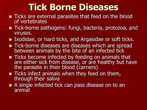 Ppt Tick Borne Diseases Powerpoint Presentation Free Download Id