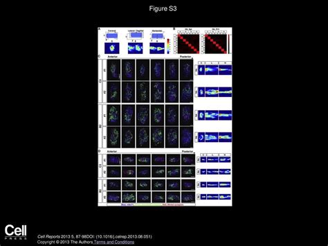 Volume 5 Issue 1 Pages October 2013 Ppt Download