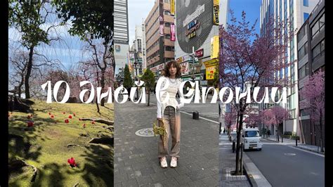 ЯПОНИЯ ВЛОГ | ТОКИО, КИОТО, НАРА, ОСАКА - YouTube