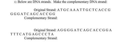 Solved Below Are DNA Strands Make The Complementary DNA Chegg
