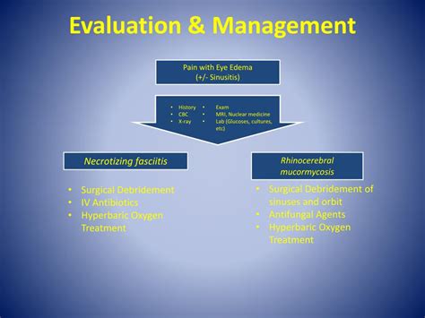 Ppt Treatment Of Periocular Necrotizing Fasciitis And Mucormycosis