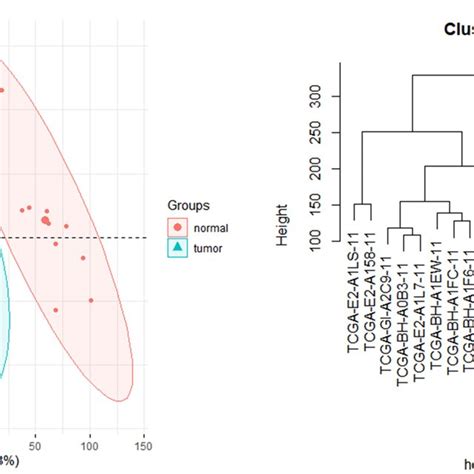 The Two Diagrams Are Expression Matrices Diagram On The Left Is A Pca