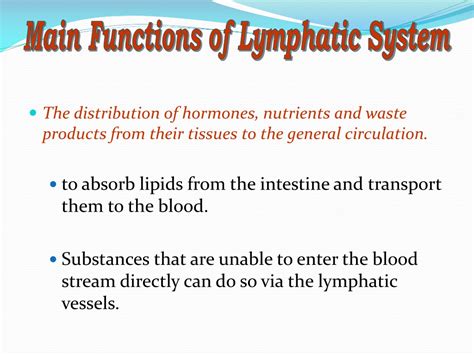 PPT LYMPHATIC SYSTEM PowerPoint Presentation Free Download ID