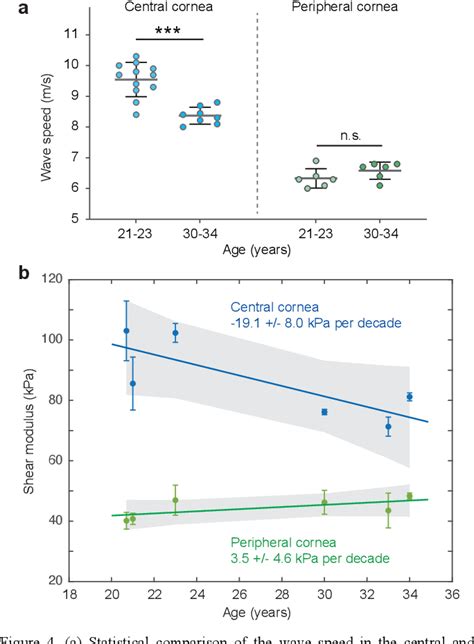 Figure 4 From In Vivo Optical Coherence Elastography Unveils Spatial