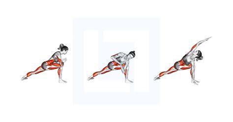Revolved Side Angle Pose Guide Benefits And Form