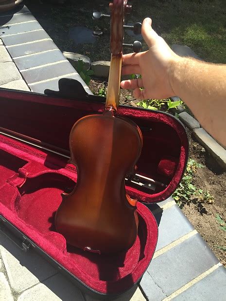 Knitting 34 Vioin 2000 C Gloss Reverb Uk