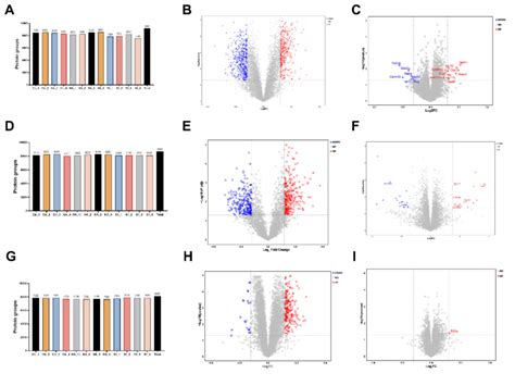 Figure S4 Information Of Mass Spec Based Proteomic On Mouse Skull