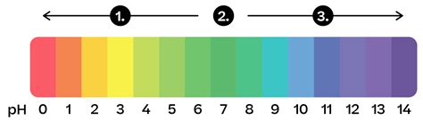 The Ph Scale And Indicators Science Explanation And Exercises Evulpo