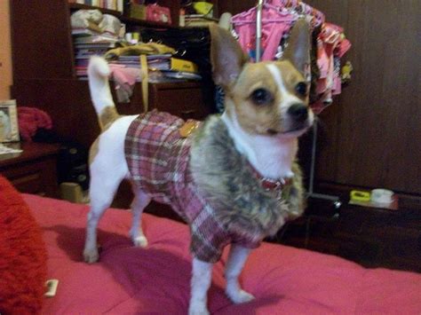 Toda Una Princesa Con Su Saco Rosa Sacos Princesa Principe