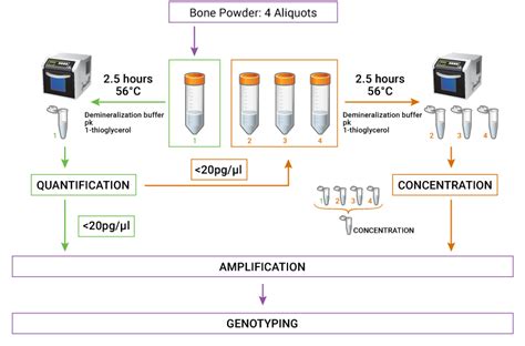 Europe Spring 2020 Performance In Bone Samples Analysis