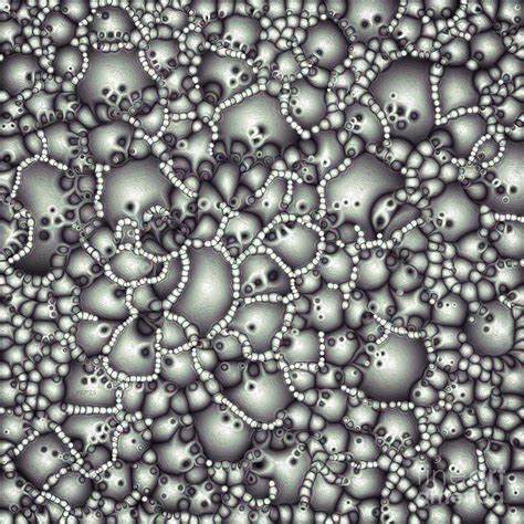 Microscopic Abstract Shapes Digital Art By Phil Perkins Fine Art America