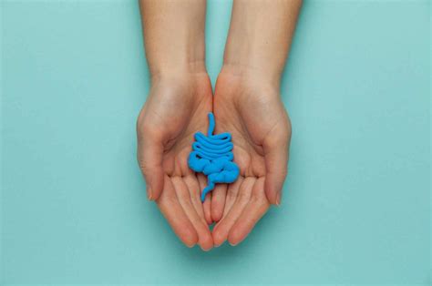 The Differences And Link Between Infectious Gastroenteritis And Colitis Evinature