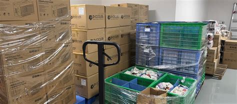 meshless production update 12 2 2024 meshless design