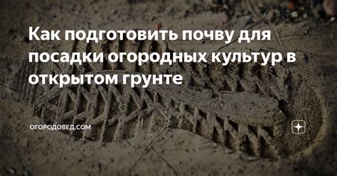 Как подготовить почву для посадки огородных культур в открытом грунте Огородовед Com Дзен
