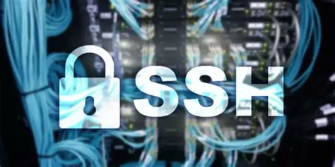 Vps Connectivity A Beginners Comprehensive Guide Server Gigabit Network