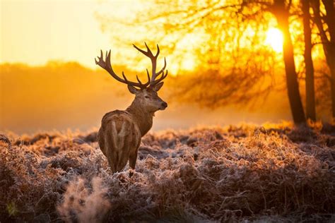 Natuur Fotobehang Bestel Je Bij Fotobehang Nl Goedkoop And Kwalitatief Fotobehang Nl