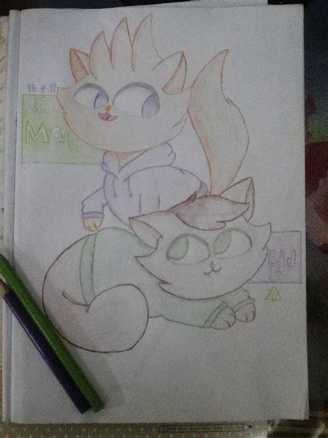 Eddsworld Cat 💕matt And Edd💕 Eddsworld Amino Polska Amino