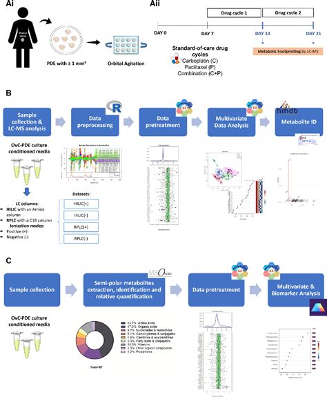 Figure 2 From Exploring Metabolic Signatures Of Ex Vivo Tumor Tissue Cultures For Prediction Of