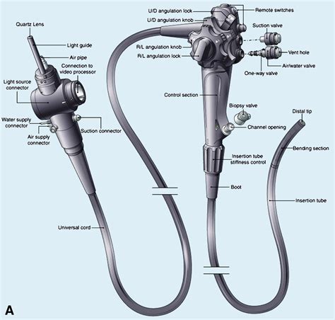 the endoscope gastrointestinal endoscopy