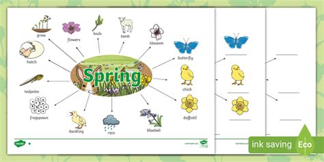 Spring Word Map KS EAL Teacher Made Twinkl