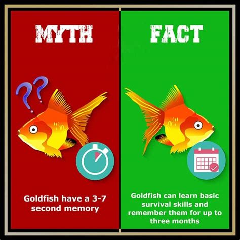 Prepare To Rethink Everything The Fascinating Reality Behind Common