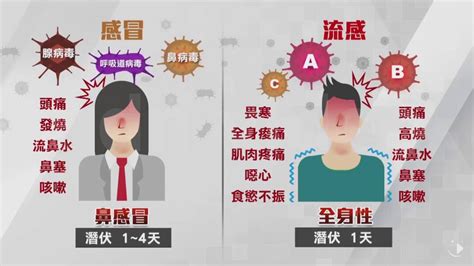 【20161021】流感 感冒分不清 教你怎麼分辨 Youtube