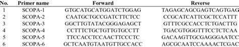 List Of Scar Markers Developed From Specific Rapd Markers On The Male Download Scientific
