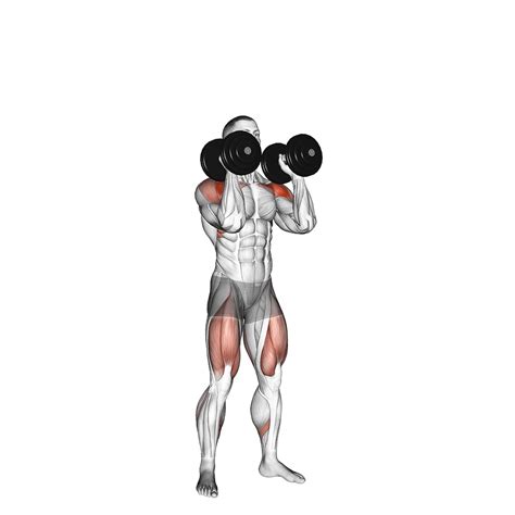 Dumbbell Push Press Benefits Muscles Worked And More Inspire Us Dumbbell Push Press Benefits Muscles Worked And More Inspire Us