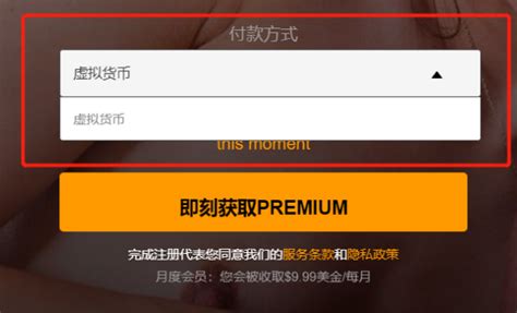 【pornhub】 Premium会员续费and购买指南 Diinex帮助中心