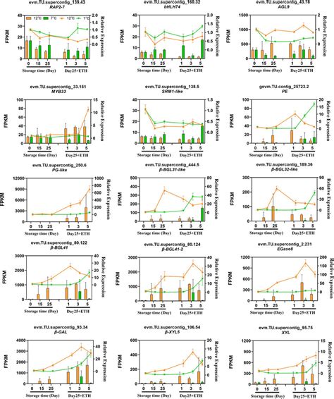 expression patterns of selected transcription factors and structural