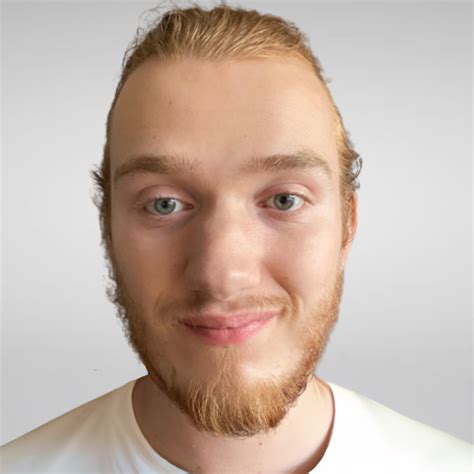 basic catalan words phrases and grammar barcatrips