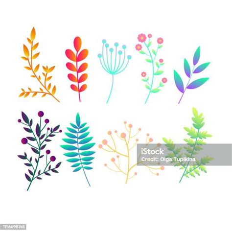 원래 밝은 그라데이션 추상 식물 가지와 잎으로 설정합니다 빈티지 다채로운 식물 패턴 컬렉션 아이콘 디자인 흰색 배경에 격리 식물 벡터 꽃 질감입니다 0명에 대한 스톡 벡터