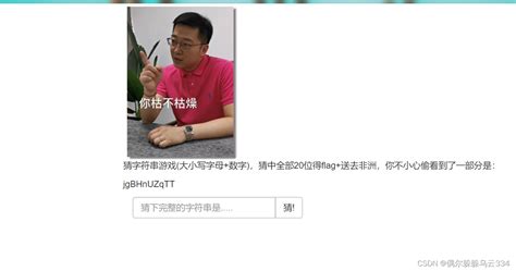 php特性函数（正则 漏洞函数） config flag index php csdn博客