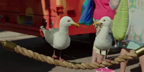 Spongebob Seagulls