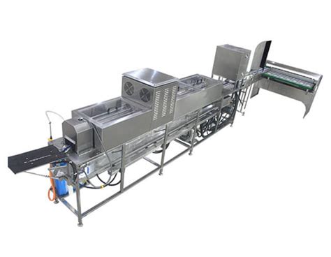 Complete Egg Processing Line Egg Processing Machines Supplier