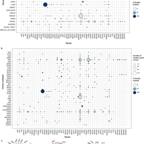 Same Gene Double Mutations Are Specific To Some Tissues Or Cancer Download Scientific Diagram