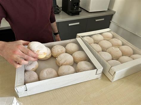 Donuts Carnivalday Protostarlabs Protostar Labs