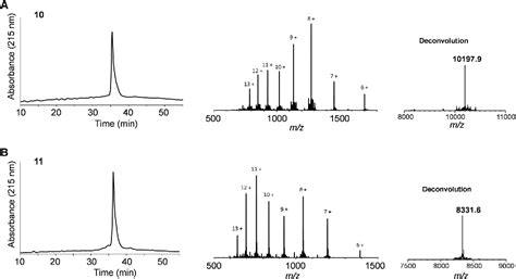 Figure 3 From Synthetic Three Component Hiv 1 V3 Glycopeptide Immunogens Induce Glycan Dependent