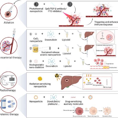 Nanotechnology Application In Ablation Transarterial Therapy Download Scientific Diagram